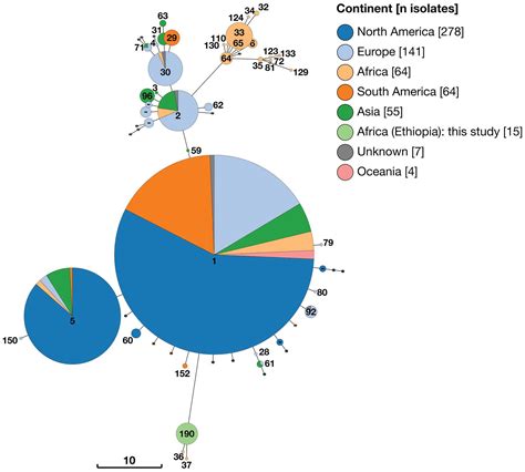 Maldi Tof Ms And Genomic Analysis Can Make The Difference