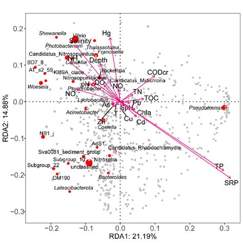 Redundancy Analysis Rda Ordination Diagram Of Relative Abundance Of