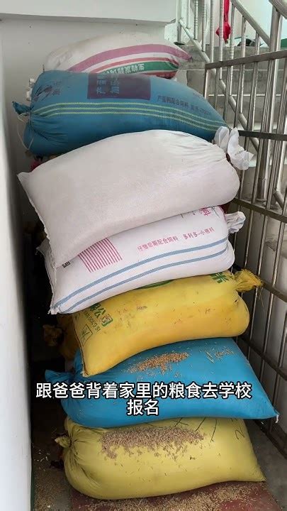 爸爸忙活了大半年收获的稻谷卖了一块三毛六一斤，你们那多少钱一斤？回村的生活 陪伴父母 记录真实生活 Youtube