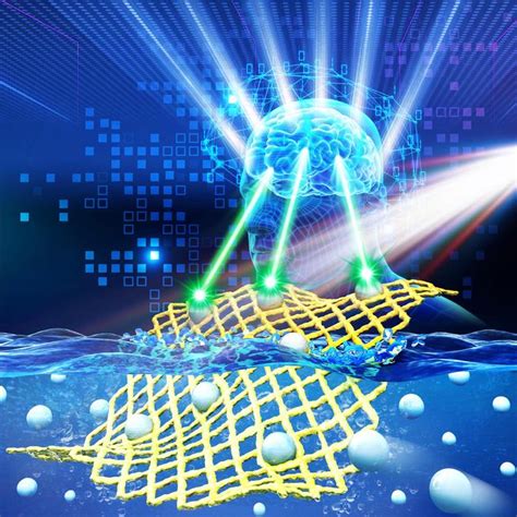 Image 2 IMAGE EurekAlert Science News Releases