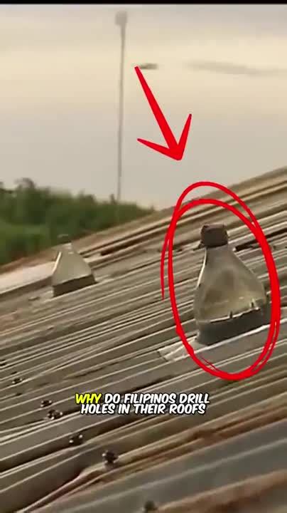 Sheila Royeras Her Husband Her Mother And Two Young Daughters Live In A… Manu Melwin Joy