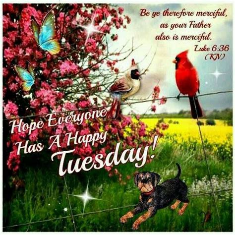 Hope Everyone Has A Happy Tuesday Pictures Photos And Images For