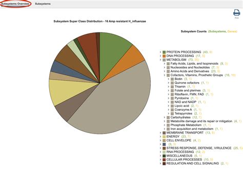Subsystems Data And Viewer Bv Brc