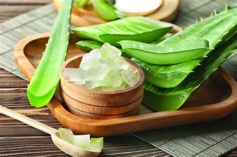 هلام الصبار ينهي متاعب البشرة الدهنية