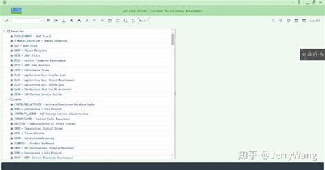sapgui 里的 belize theme 知乎
