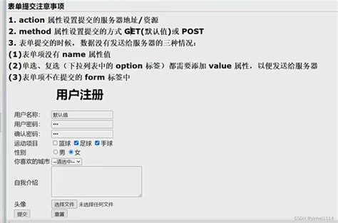 Java Web学习笔记 1 HTML入门 htmi学习 CSDN博客