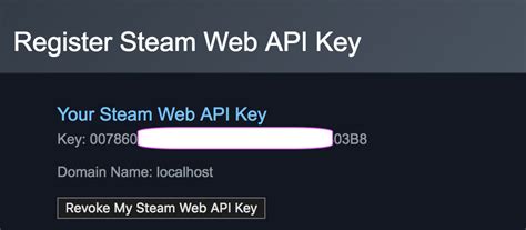 Api Key Steam