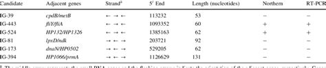 Small Rna Genes Candidate In H Pylori Genome Download Table