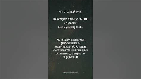 Интересный факт от ИИ факт ИИ наука Youtube