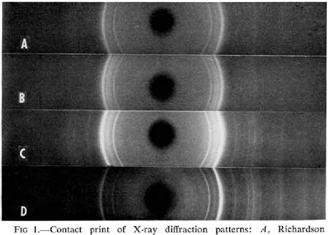 Figure 1 From Synthetic Medium For Calcification Of Bacterionema
