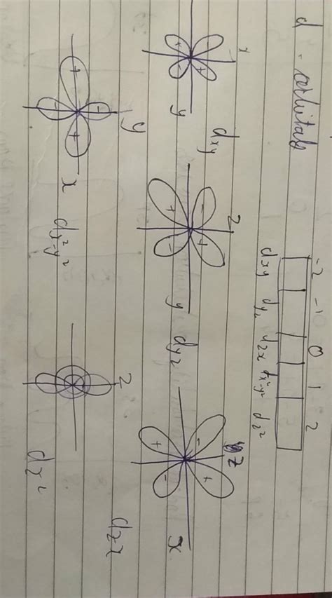 Draw The Shape Of Subshell For L2