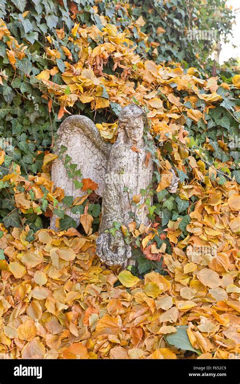 Statue Of An Angel Covered In Green Ivy And Yellow Leaves Near The