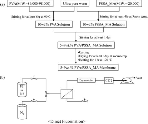 A Schematic Representation Of The Membrane Preparation Process And