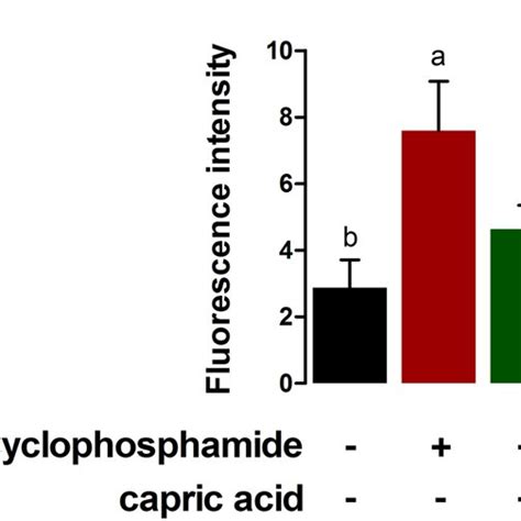 Effects Of Capric Acid Treatment On Intestinal Permeability After
