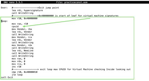 docker assembly code cpuid leaf for virtualized container signatures