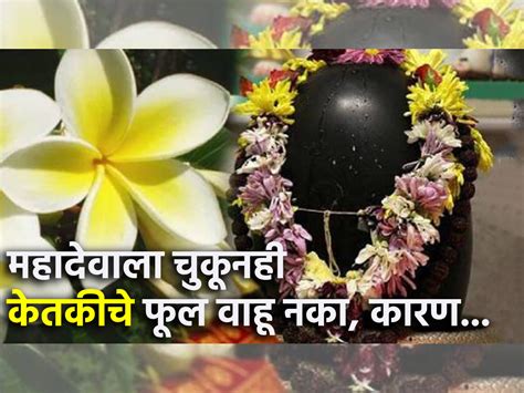 Shiv Puja महादेवाला नेहमी बेल आणि पांढरे फुल वाहावे पण केतकीचे फुल