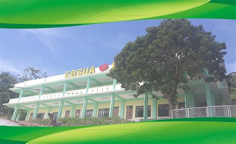 Cbsua Library Pasacao Campus