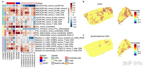 人类细胞图谱计划与单细胞测序91——空间转录组细胞通信 知乎