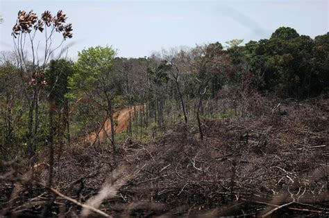 Pescar La Nueva Herramienta De Monitoreo En Cundinamarca Para La