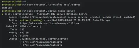 how to install and use microsoft sql server on debian 11