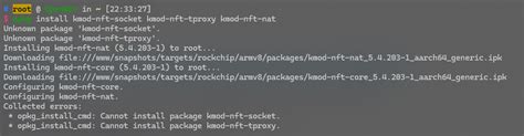 [bug] 安裝4 66 9后網路不通 · issue 2653 · xiaorouji openwrt passwall · github