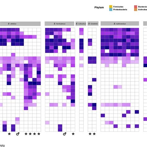 Heat Map Showing Relative Abundances Of Gut Microbes Present In Each
