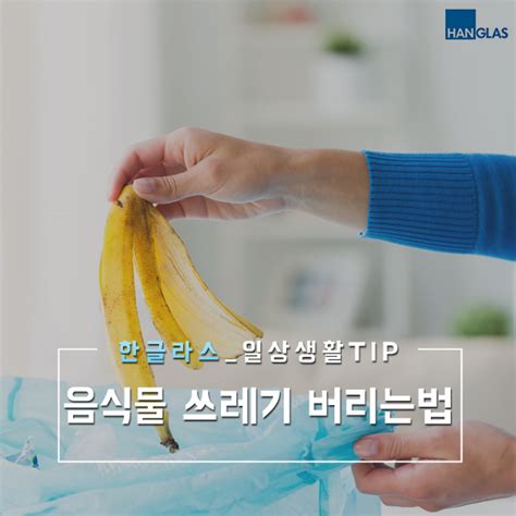 음식물 쓰레기 버리는법 벌레악취곰팡이 걱정 없이 네이버 블로그