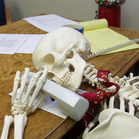 What If I Have Lost My Dbs Certificate Employment Tools By Aarons Department