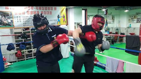 세계챔피언배출 대학교수관장지도 포항권투 흑곰민서 호랑이건영 스파링 Youtube