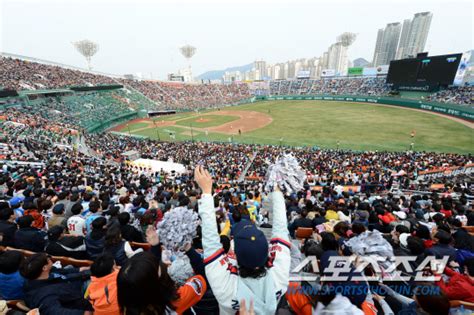 롯데 사직구장 매진 실패 부산 야구 열기 이상 기류