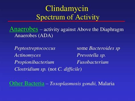 Antibioticreview