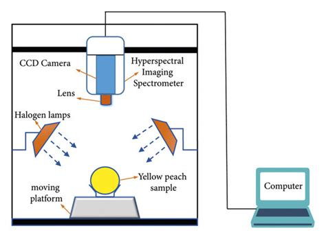 Schematic Illustration Of The Hyperspectral Imaging System Download