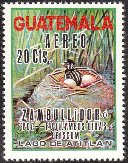 Atitlan Grebe Stamps Mainly Images Gallery Format Stamp Guatemala Coastal Plain