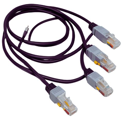 The Ultimate Guide To Choosing The Right Patch Cables For Your Network Ascentoptics Blog
