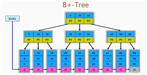 【大话mysql面试】 Mysql的索引为什么要使用b树，而不是b树，红黑树等之类？为什么用b树不用红黑树和b树 Csdn博客