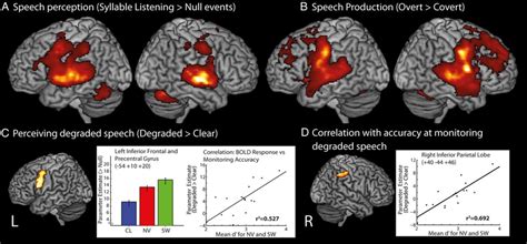 A Speech Perception Network Syllable Listening Null Events Download Scientific Diagram