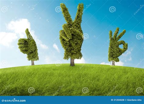 Positive Tree Stock Illustration Illustration Of Ecology 31204608