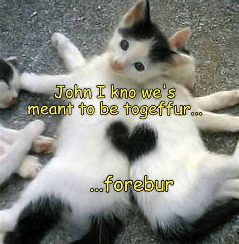 Top 25 Memes Of The Week Cheezburger Users Edition 50 Funny Cat