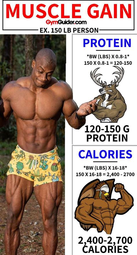 The Six Week Lower Body Workout For Ultimate Gains And Quad Size