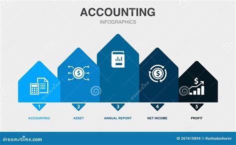 Accounting Asset Annual Report Net Stock Vector Illustration Of
