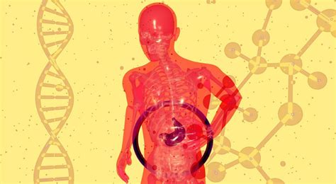 What Causes Type 1 Diabetes