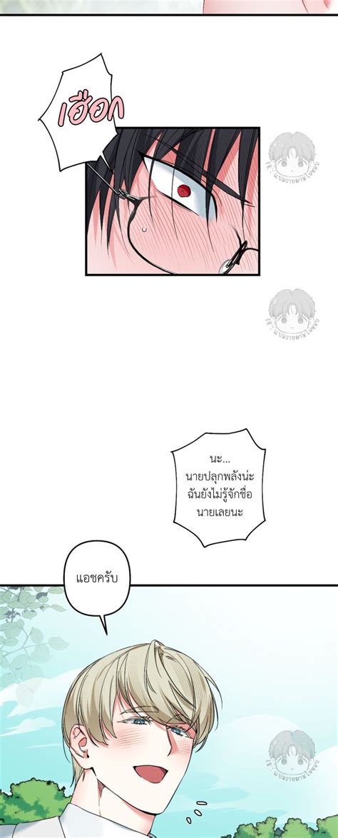 อ่าน A Three Legged Hero ฮีโร่สามขา ตอนที่ 2 2 Th แปลไทย Niceoppai