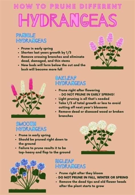 Best How To Use Azaleas In Your Landscaping Artofit