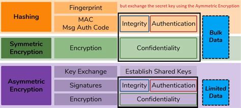 Nour Hijji Posted On Linkedin