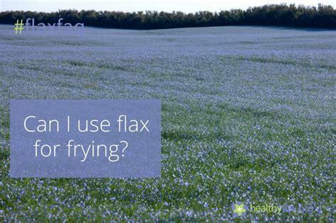 Flax News Contenthealthy Flax