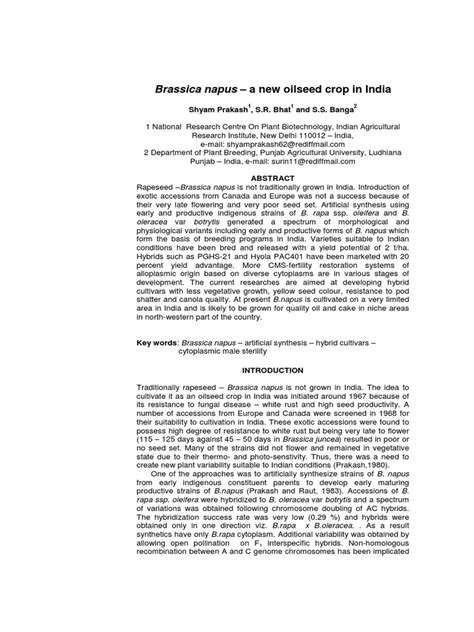 Brassica Napus A New Oilseed Crop In India Shyam Prakash Sr Bhat