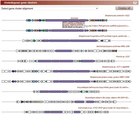 Example Of Clusterblast Alignment Of Gene Clusters Homologous To The