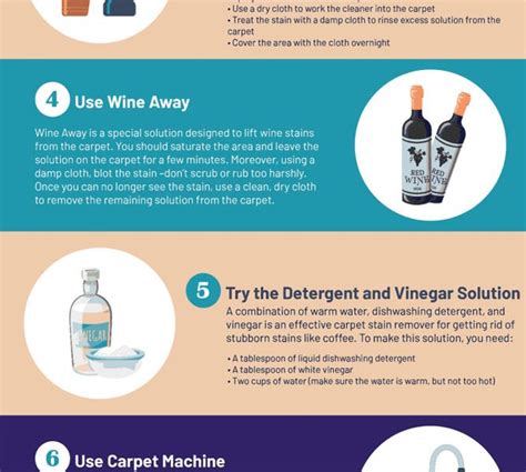 Best Carpet Stain Removal Tips Infographic Best Infographics