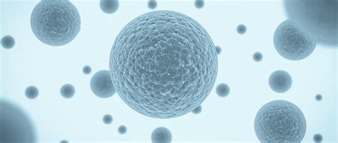 Oocyte Retrieval From An Anonymous Donor