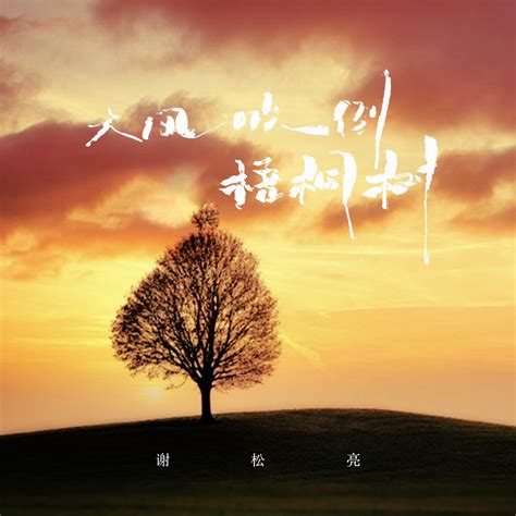 大风吹倒梧桐树谢松亮高音质在线试听大风吹倒梧桐树歌词歌曲下载酷狗音乐